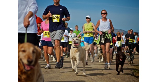 Howl 5K Run/Walk