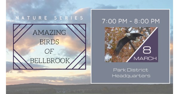 Nature Series: Amazing Birds of Bellbrook