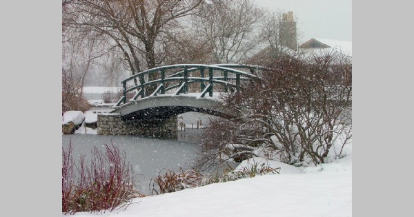 December Paint-A-Park