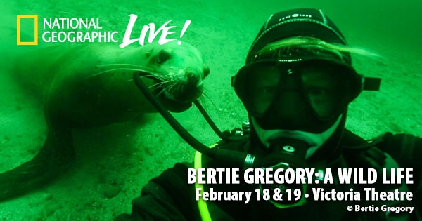 Bertie Gregory: A Wild Life