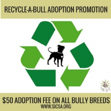 SICSA Recycle-A-Bull Adoption Event