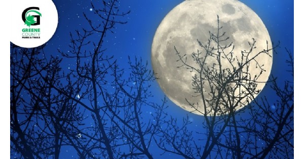Full Moon Hike at Phillips Park