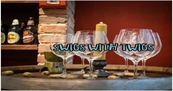 Swigs with Twigs - a wine/beer tasting for Dayton Childrens Hospital