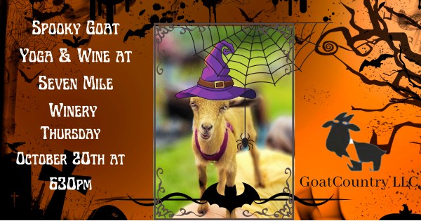 Spooky Goat Yoga and Wine at Seven Mile Winery