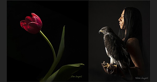 OVCC Presents: Lisa Langrell, The Power of Contrast