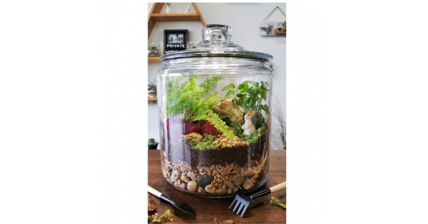 Tropical Terrarium Building with Now and Zen