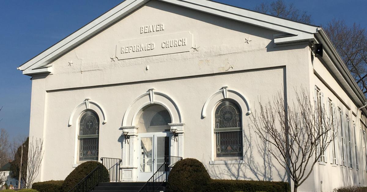 Chicken & Noodle Dinner